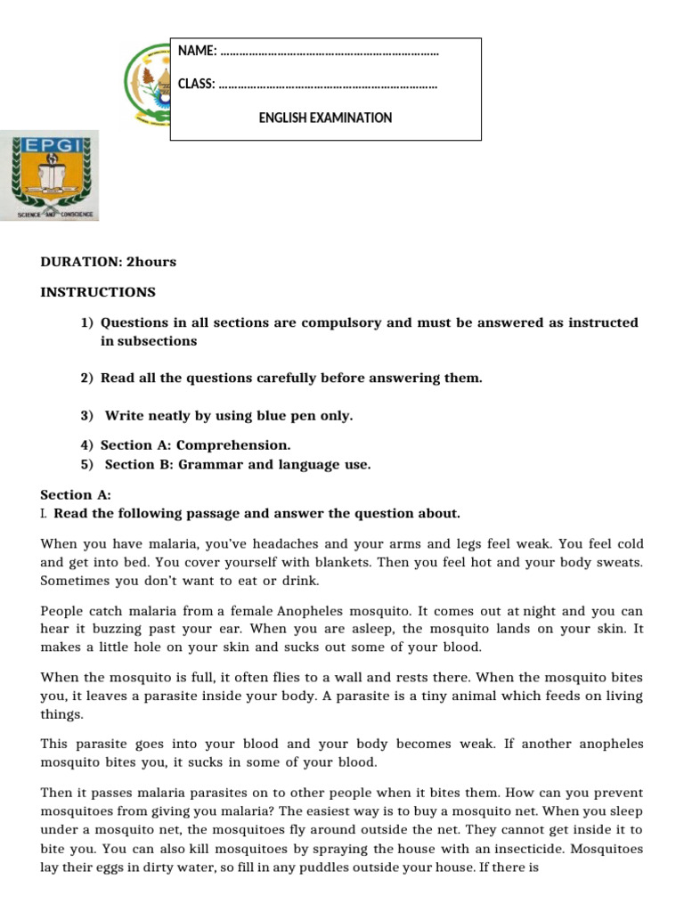 English Exam p5 Term One 2026 | PDF | Mosquito | Malaria