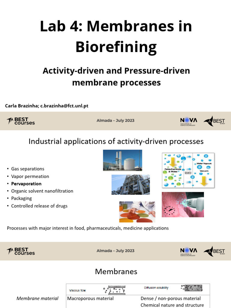 Membrane Processes in Biorefining | PDF | Membrane Technology | Membrane