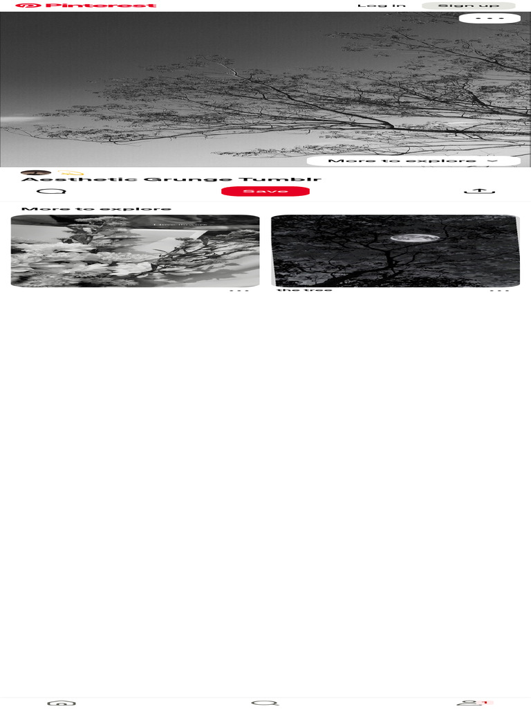 Aesthetic Grunge Inspiration on Tumblr | PDF