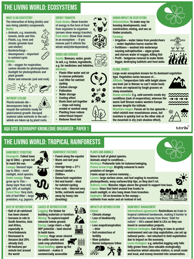 Paper 1 the Living World | PDF | Ecosystem | Rainforest