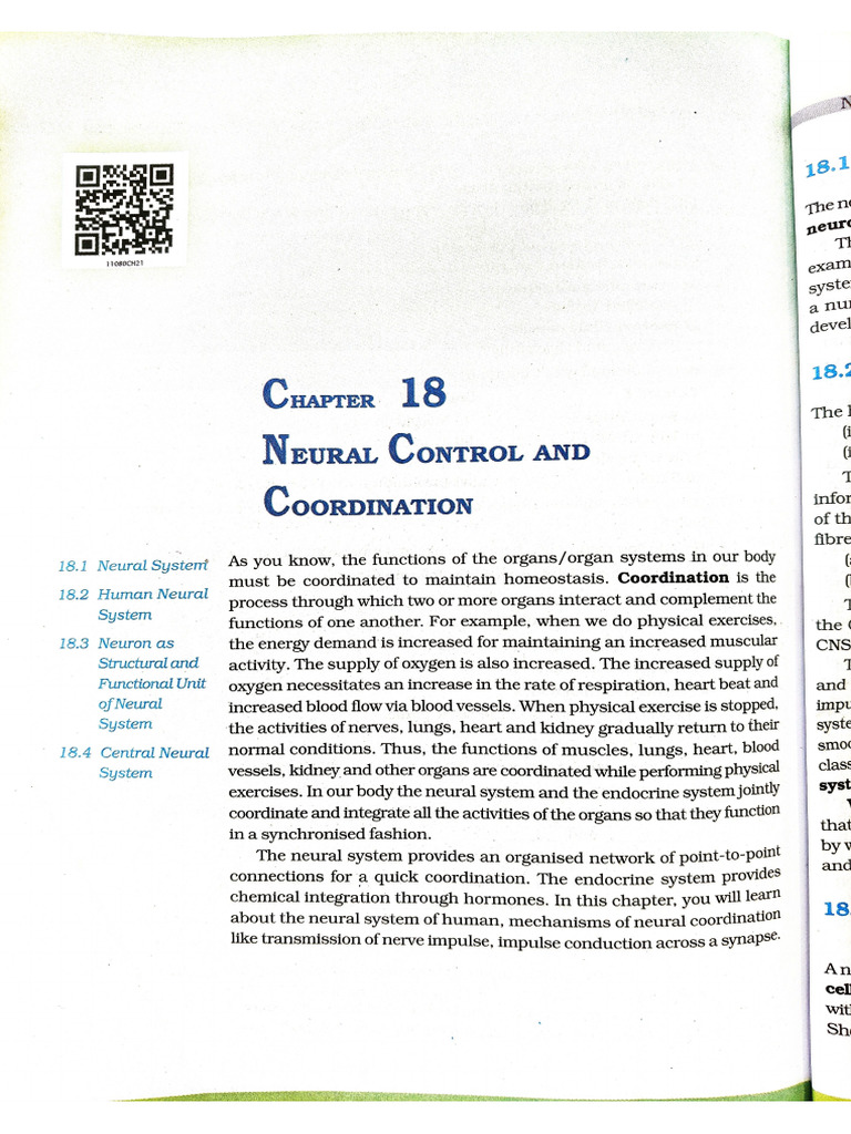 Chapter 18 Neural Control and Coordination | PDF
