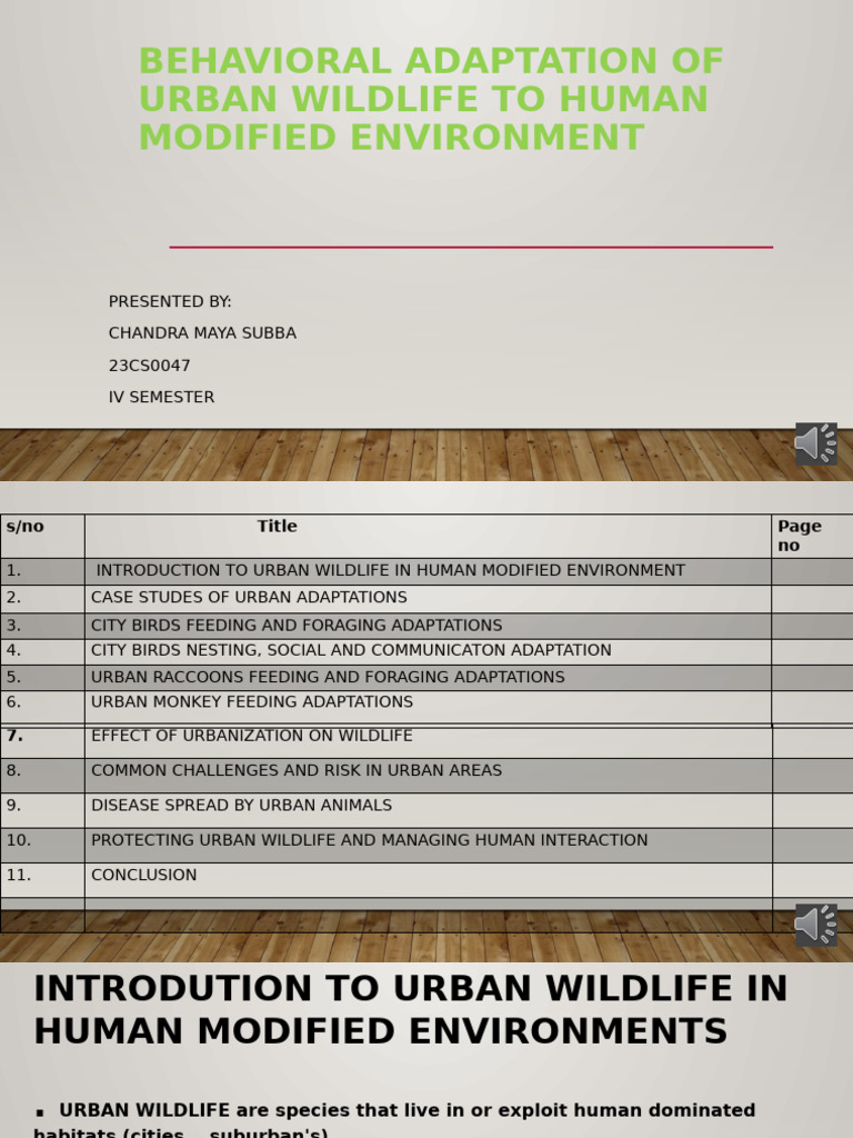 Urban Wildlife Adaptations to Cities | PDF | Raccoon | Rabies