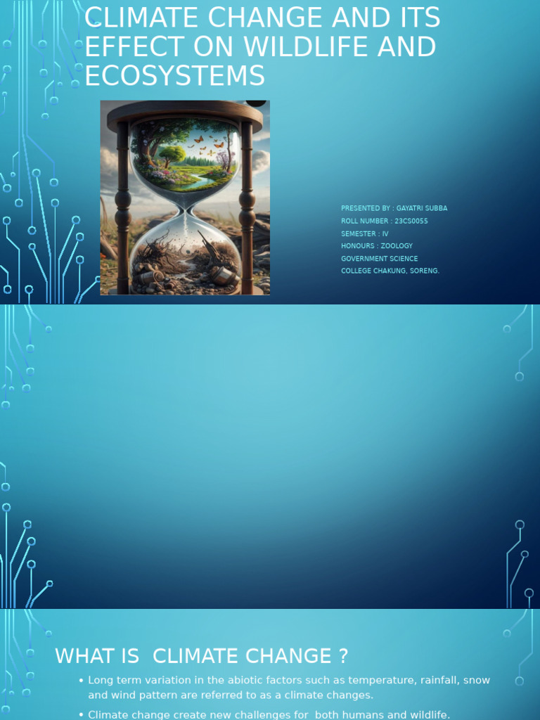 Presentation 2025 | PDF | Climate Change | Greenhouse Effect