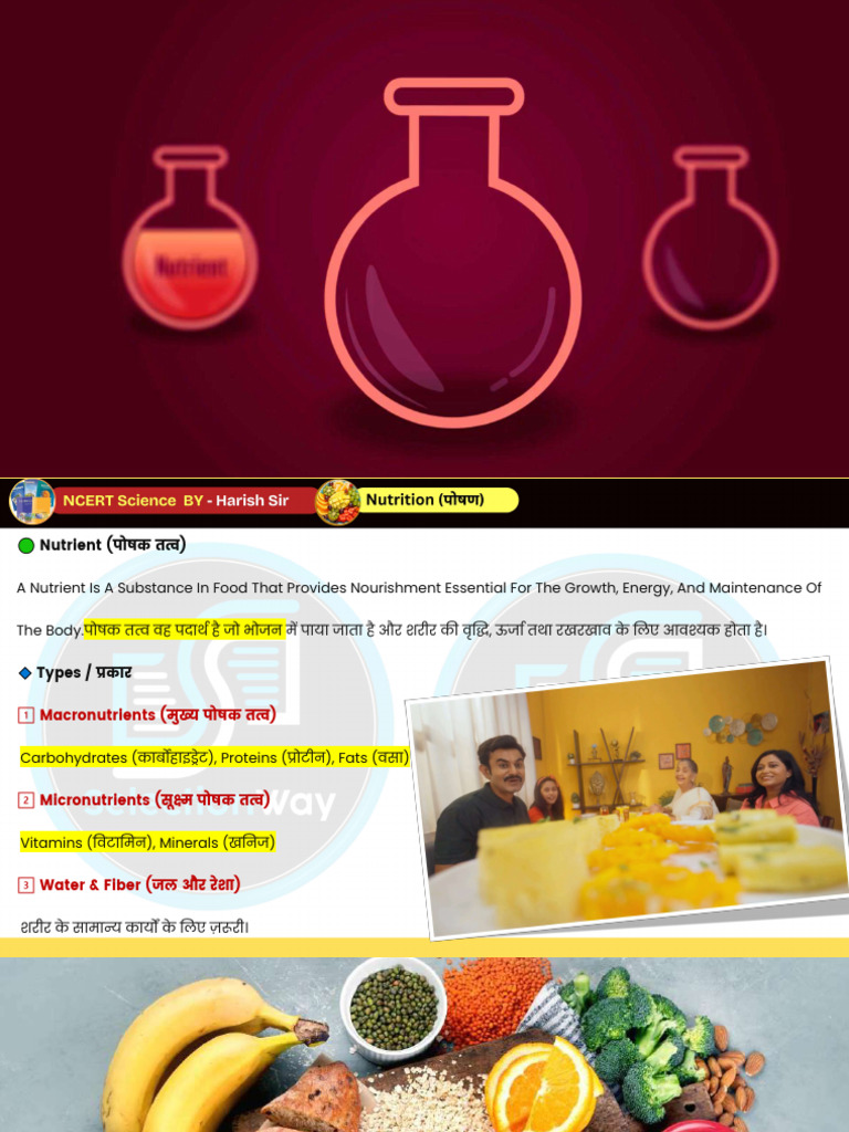 Nutrients | PDF