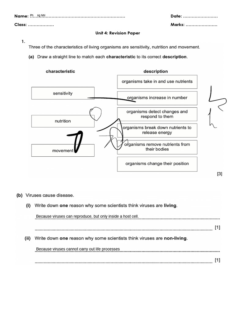 Grade 6 Unit 4 Revision Paper 1 | PDF