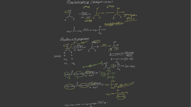 (19.11.2025) Neet Excel B1_HNT Sir | PDF