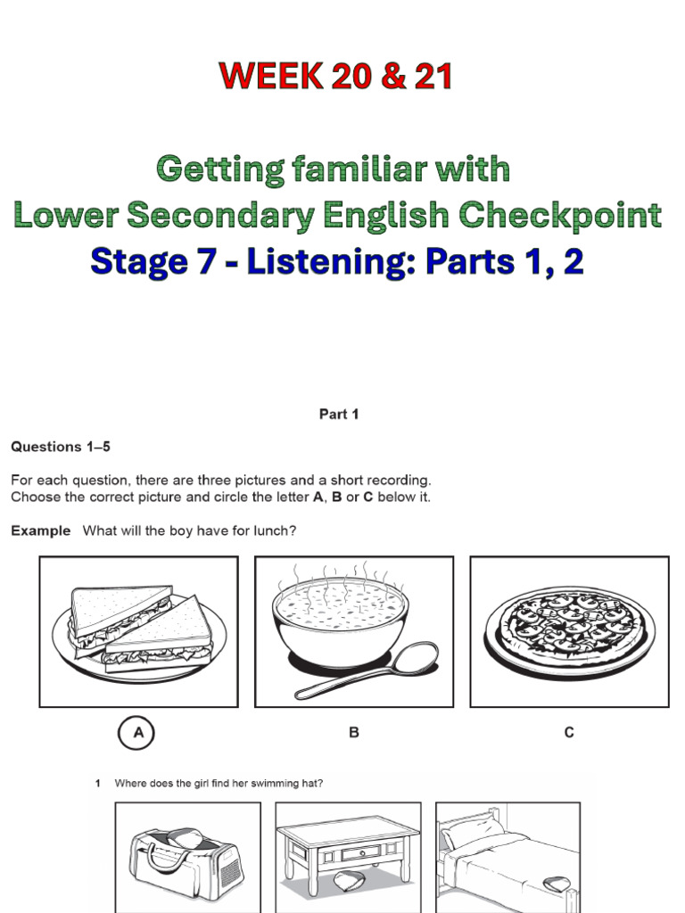 WEEK 20 & 21 Getting Familiar With Lower Secondary English Checkpoint ...