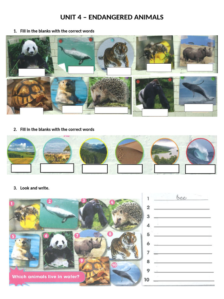 Endangered Animals: Fill-in Activities | PDF