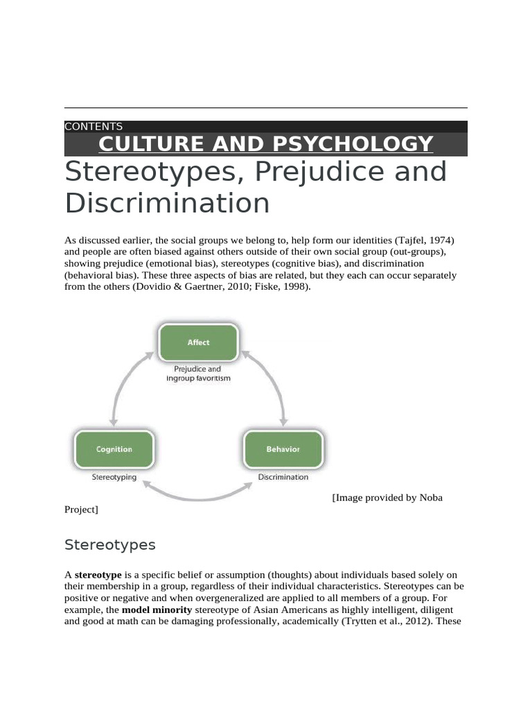 Understanding Stereotypes and Prejudice | PDF | Stereotypes | Prejudices