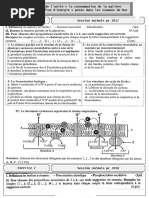 Résumé Du Programme SVT 2 BAC PC BIOF PR Mousstaid PDF | PDF