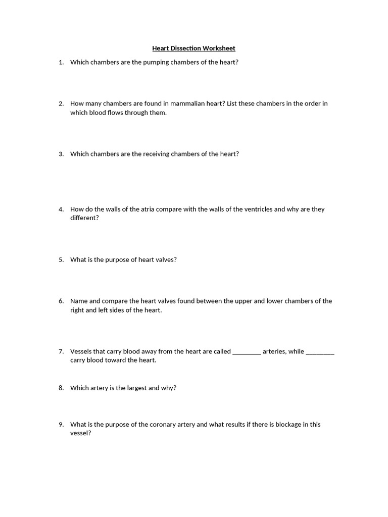 Heart Dissection Worksheet (4) | PDF
