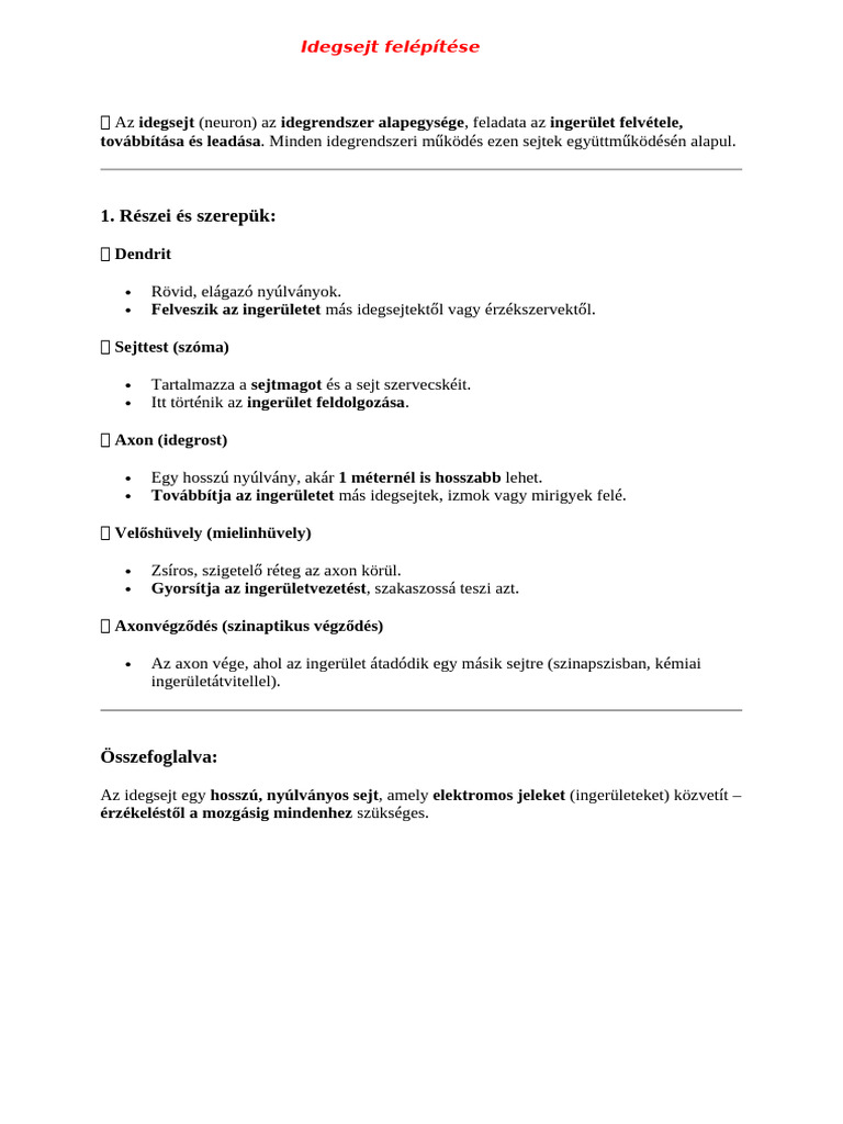 Idegsejt Felépítése | PDF
