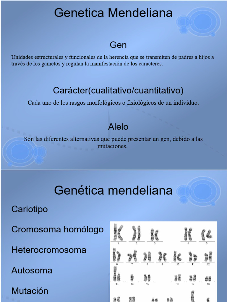 Presentacion Genetica Mendeliana Esp | PDF | Dominancia (Genética) | Gene