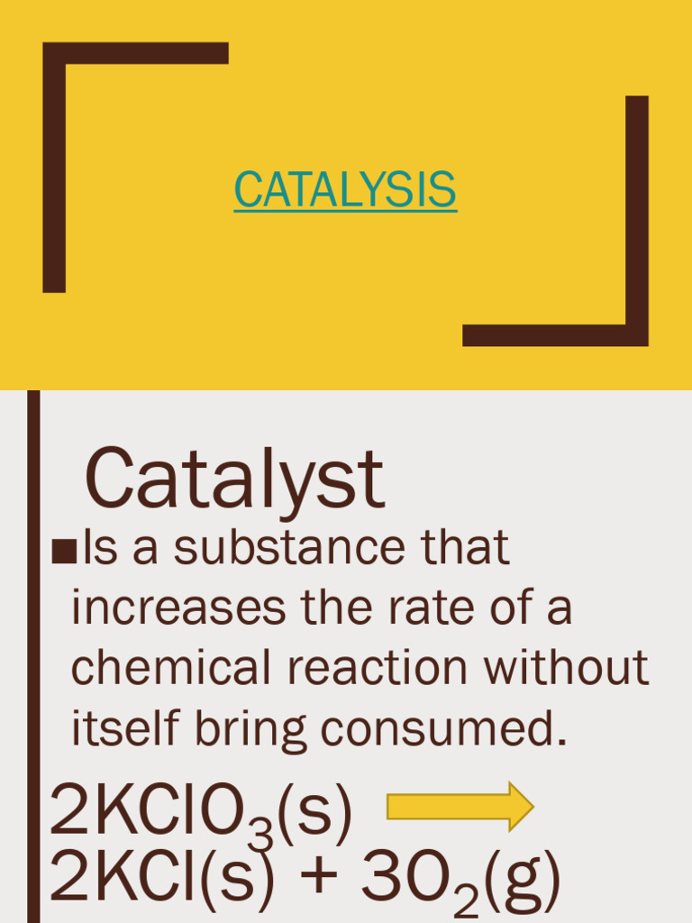 Types of Catalysts Explained | PDF