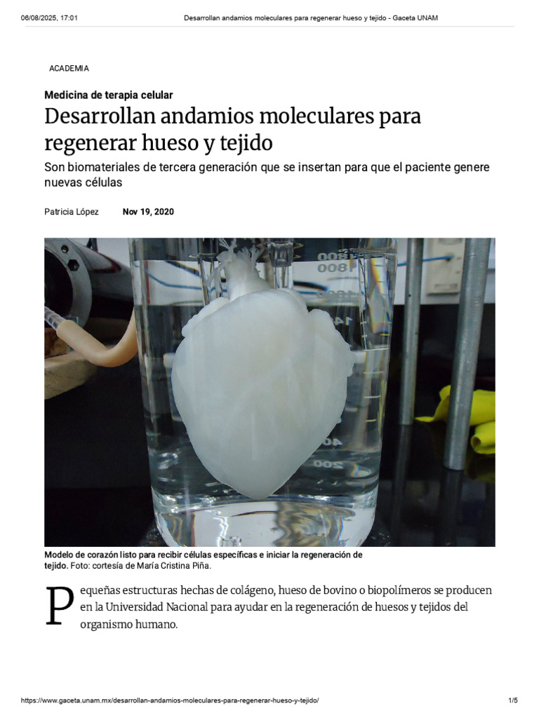 Desarrollan Andamios Moleculares Para Regenerar Hueso y Tejido - Gaceta ...