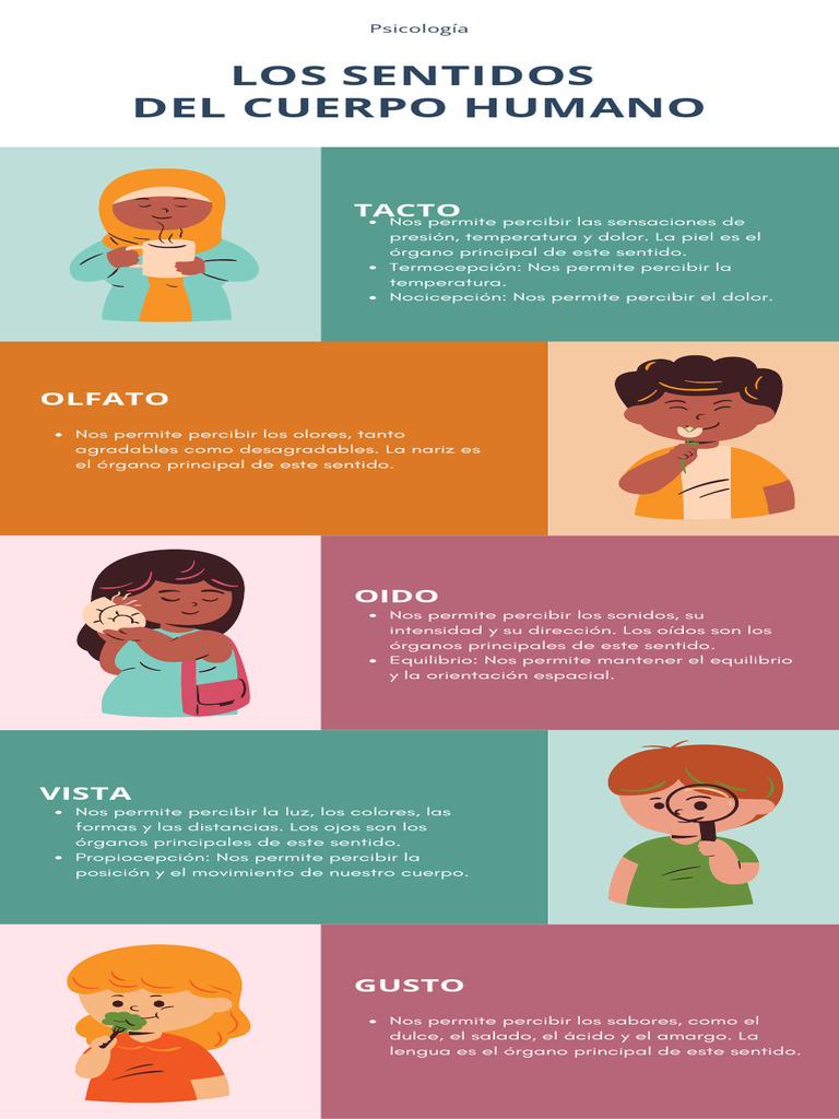 Infografía Sentidos Cuerpo Humano Ilustrado Multicolor_20260114_073347 ...