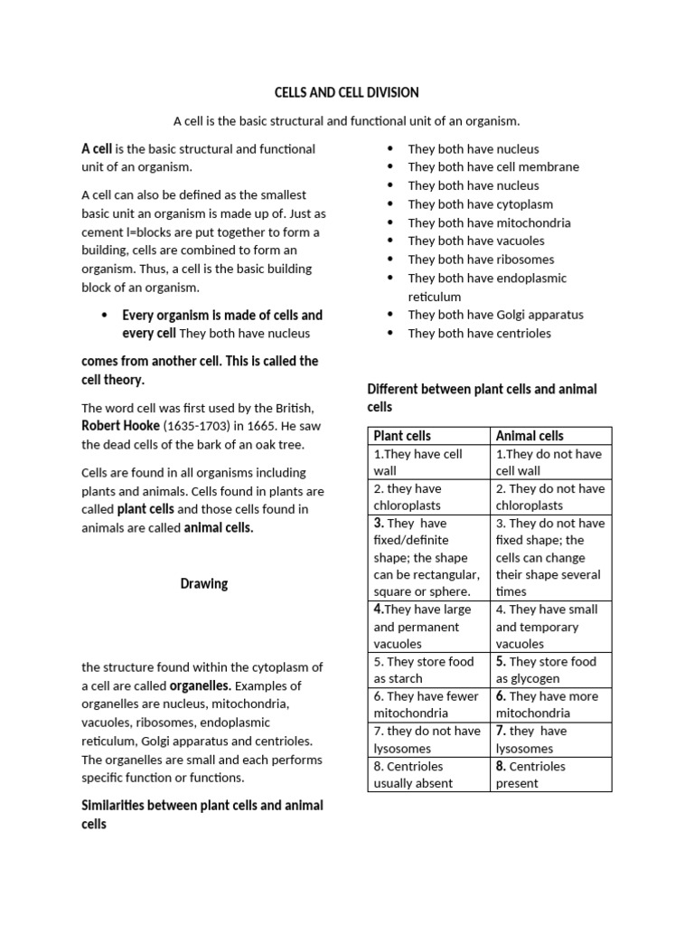 Cells and Cell Division | PDF | Meiosis | Rock (Geology)
