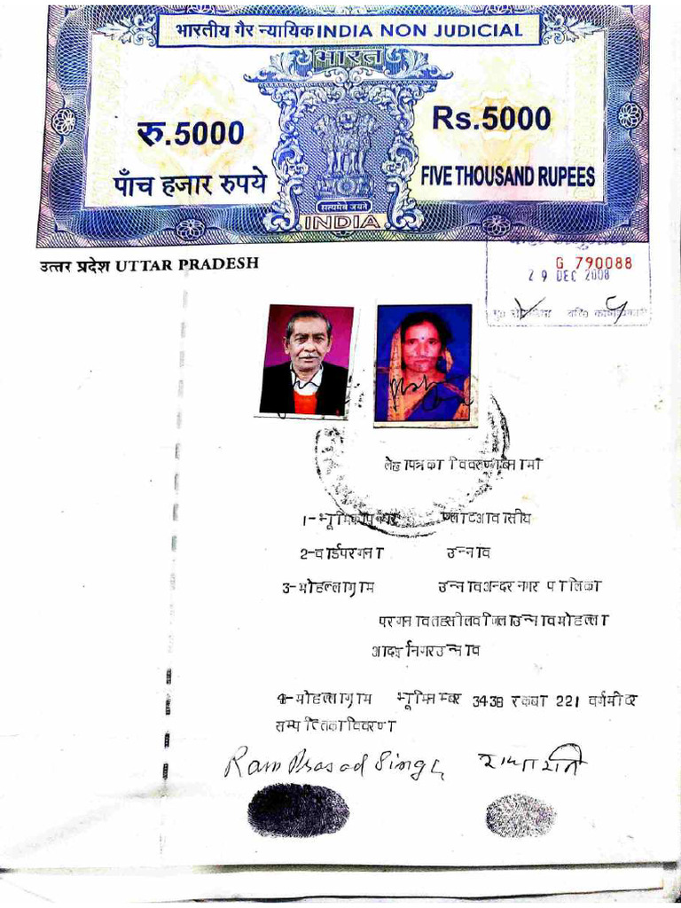 Registry Compressed (1) | PDF