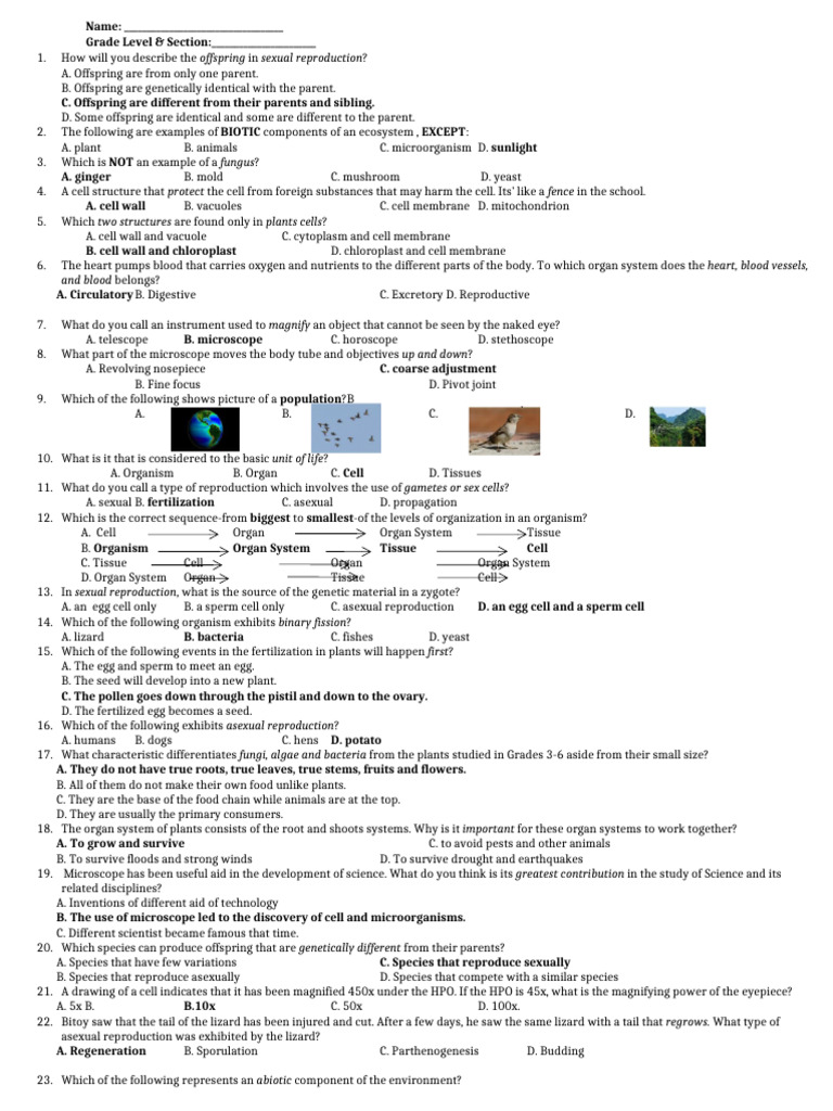 Review Test 2nd Periodic g7 | PDF | Fertilisation | Sexual Reproduction