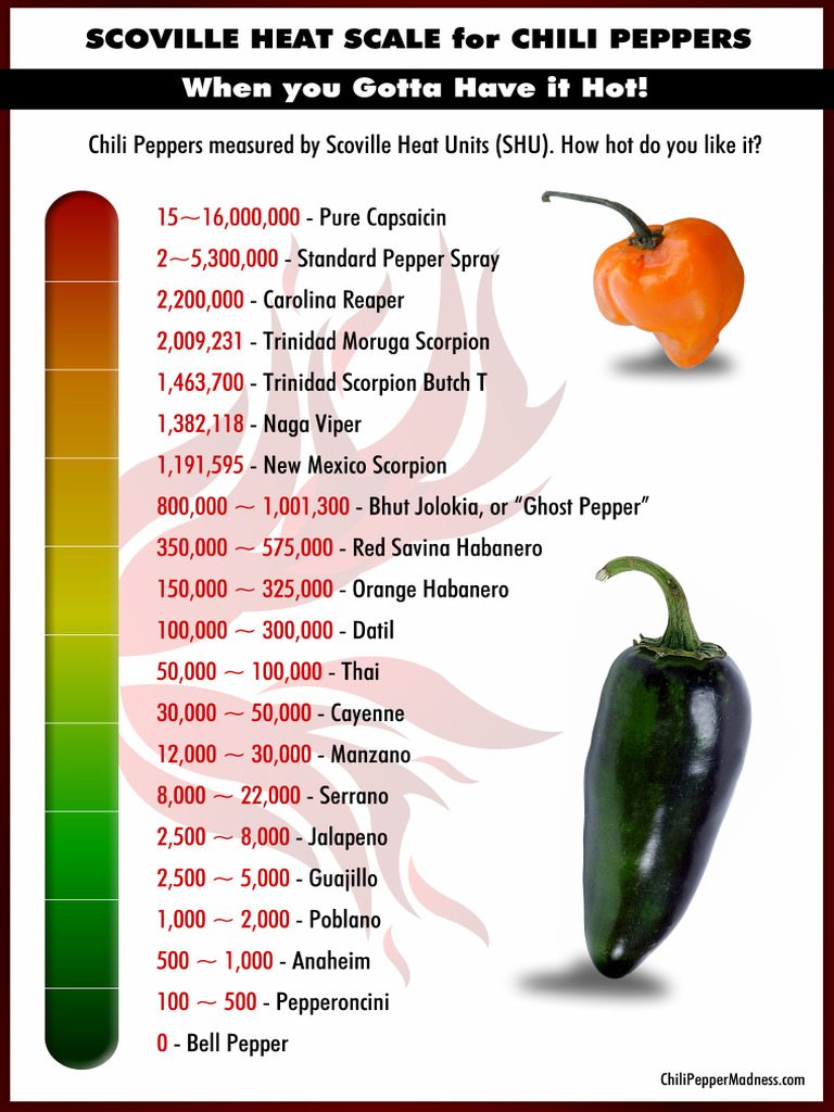 Scoville Scale Poster 23x35 Print | PDF