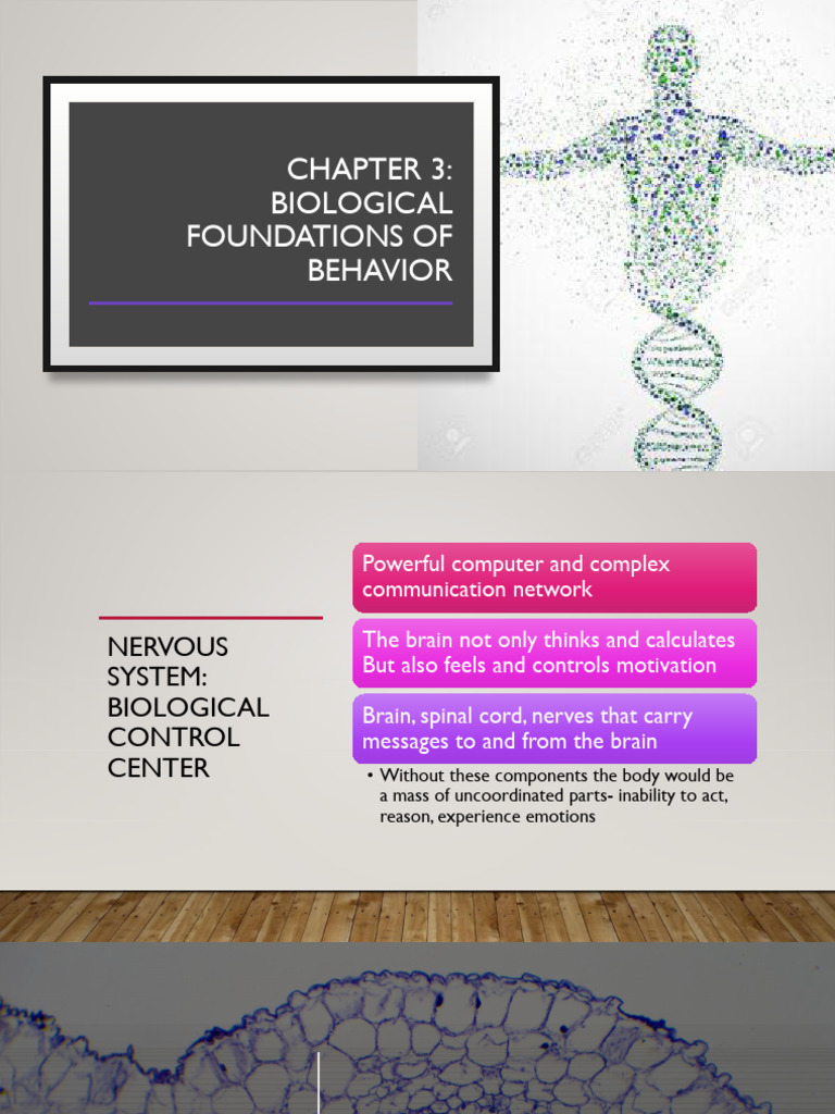 Biological Foundations of Behavior | PDF | Neuron | Axon