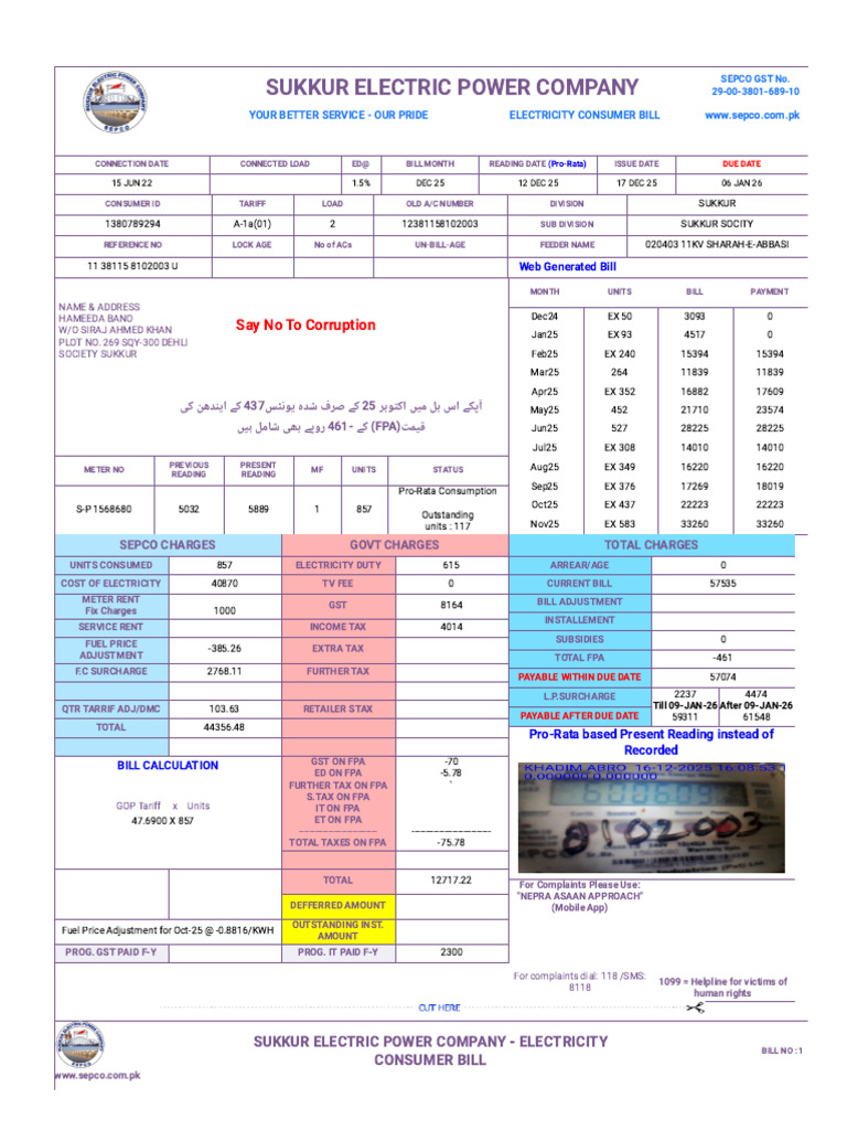 Dehli h 269 Sepco Online Bill | PDF | Taxes | Fee