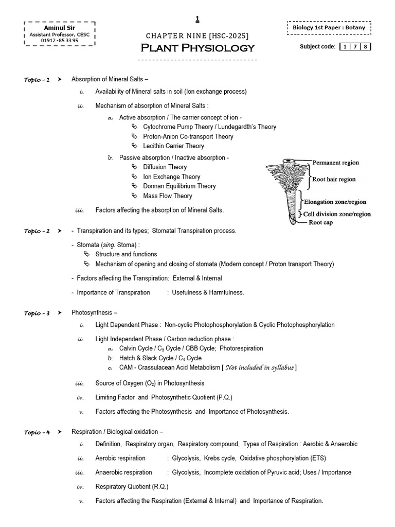 Plant Physiology: Mineral Absorption & Processes | PDF | Ion | Cellular ...