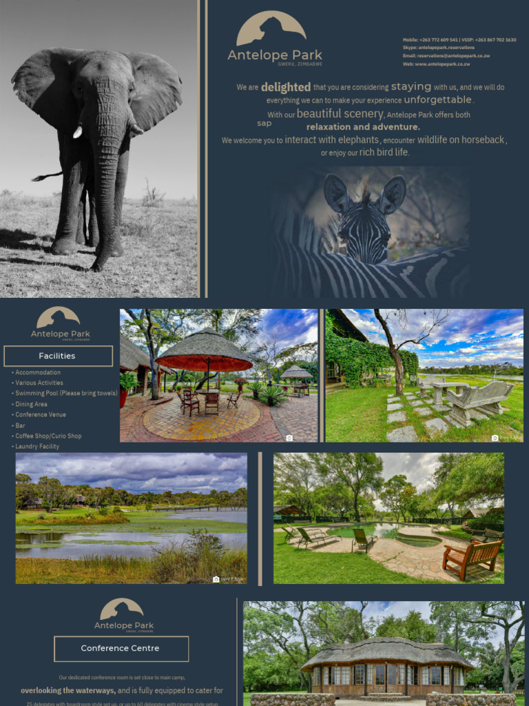 AP Information Brochure updated 23 June 2025 | PDF | Hamburgers | Room