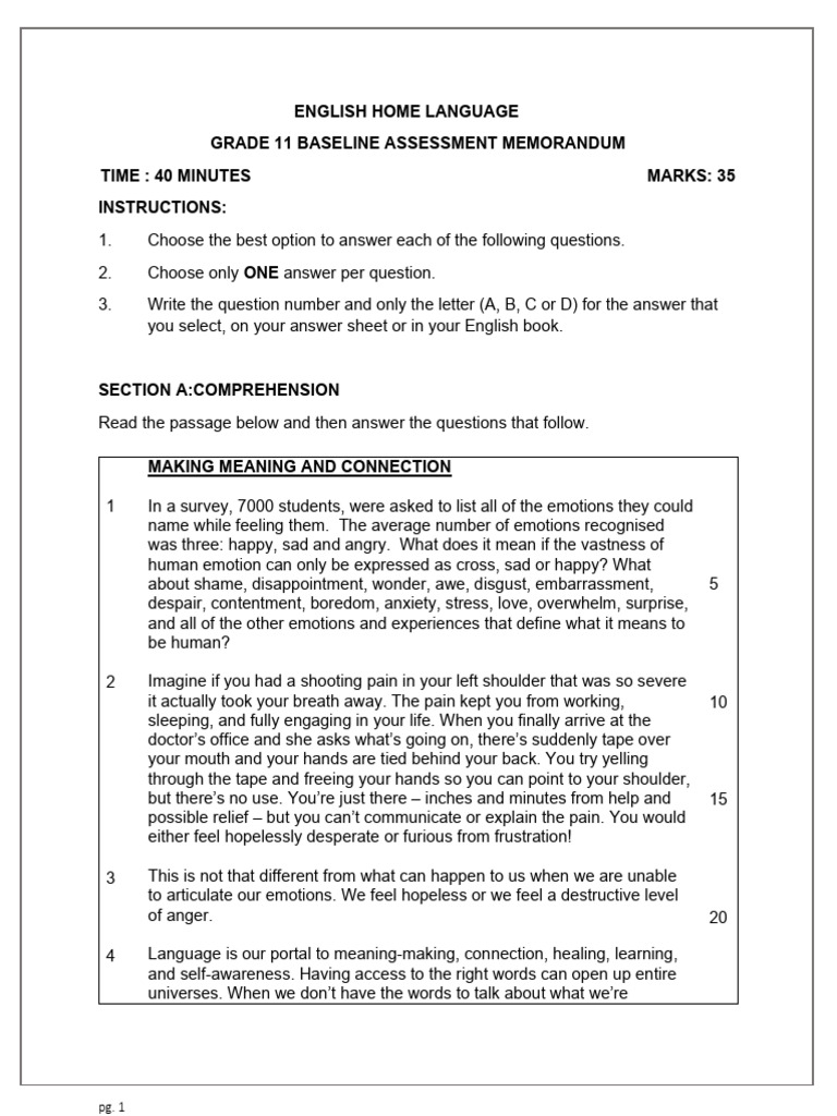 Grade 11 English Assessment Guide | PDF | Handcuffs | Emotions