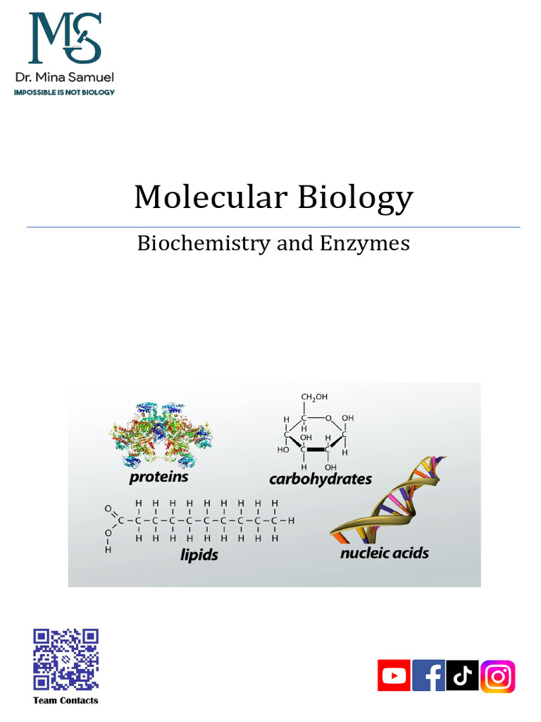 Biochemistry & Enzymes Overview | PDF | Enzyme | Biochemistry