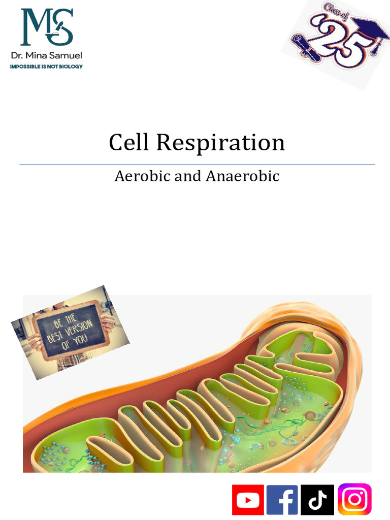 Cell Respiration 5 | PDF | Cellular Respiration | Adenosine Triphosphate