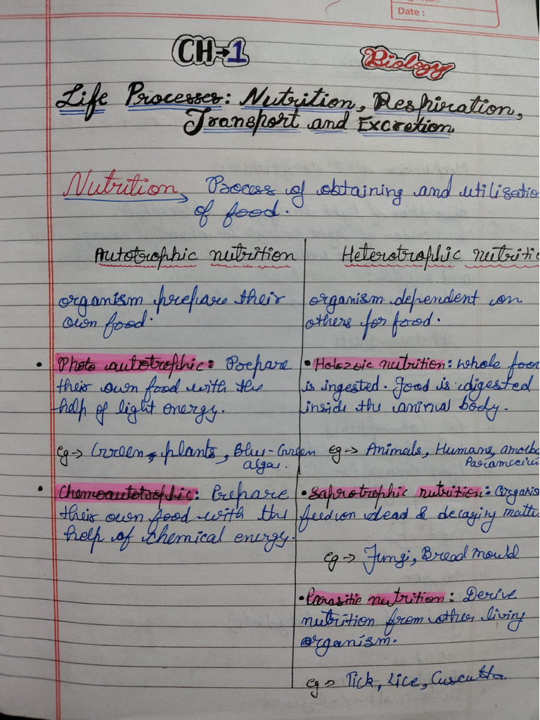 class 10 bio ch 1 life processes handwritten notes | PDF