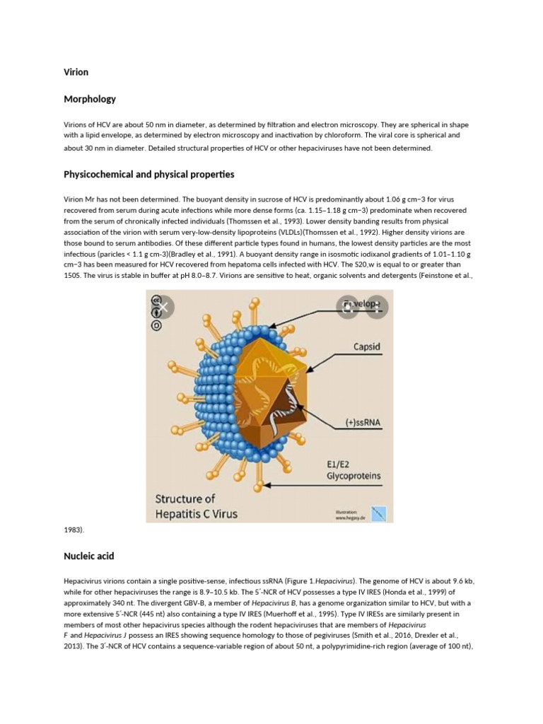 Virion, virology HCV | PDF | Virus | Hepatitis C Virus