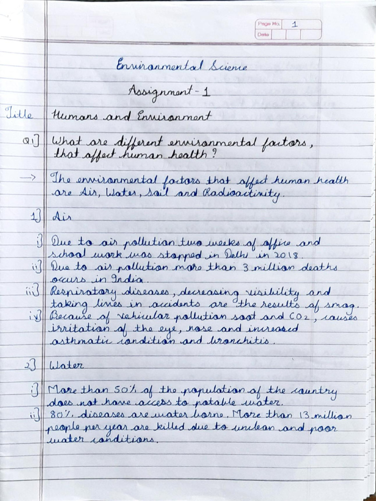 EVS English Project 12th | PDF