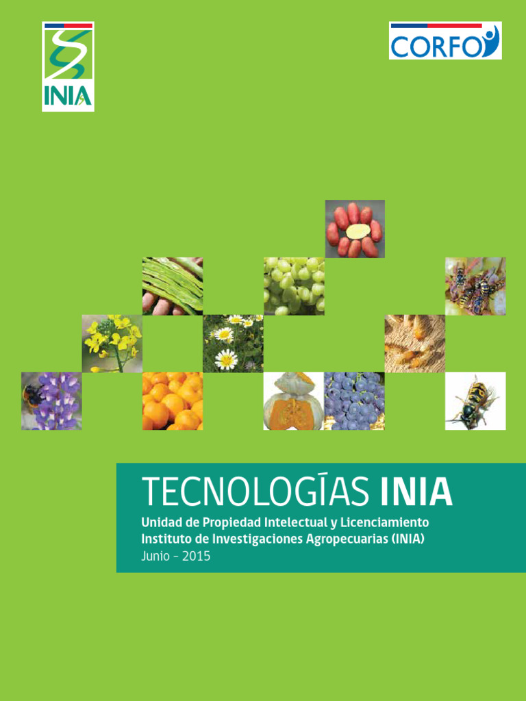 Fichas Tecnologías INIA | PDF | Vino | Elisa