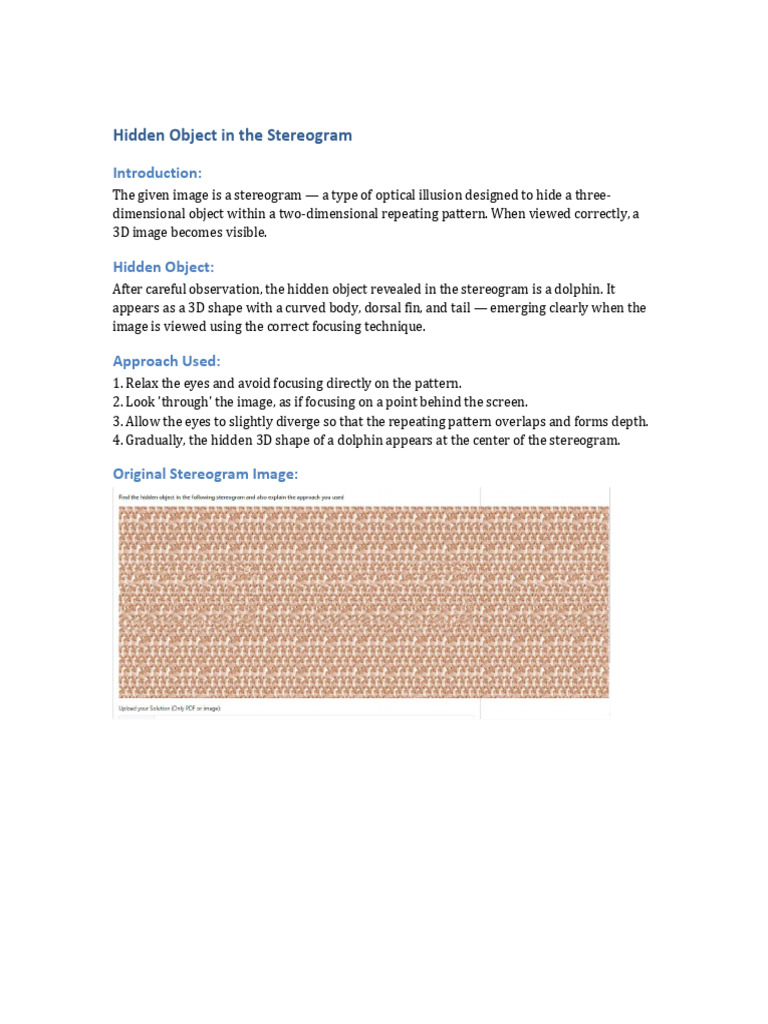 Stereogram Hidden Object Report With Images | PDF