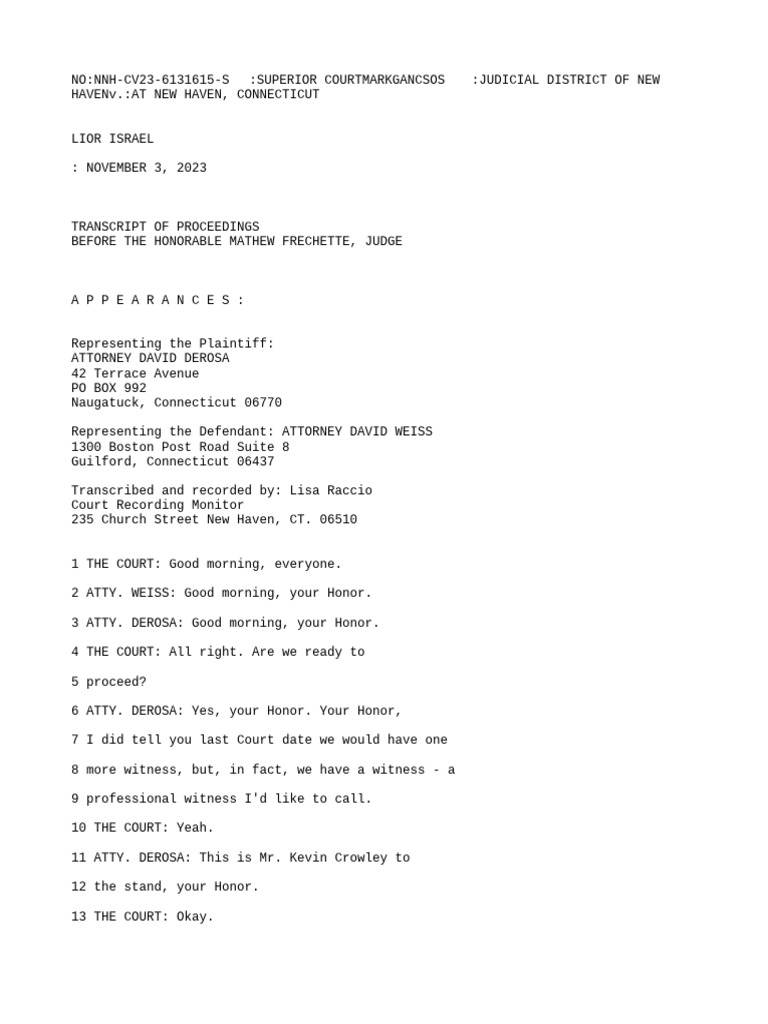 Court transcript_11-03-23 Gancsos v Israel | PDF | Testimony | Witness