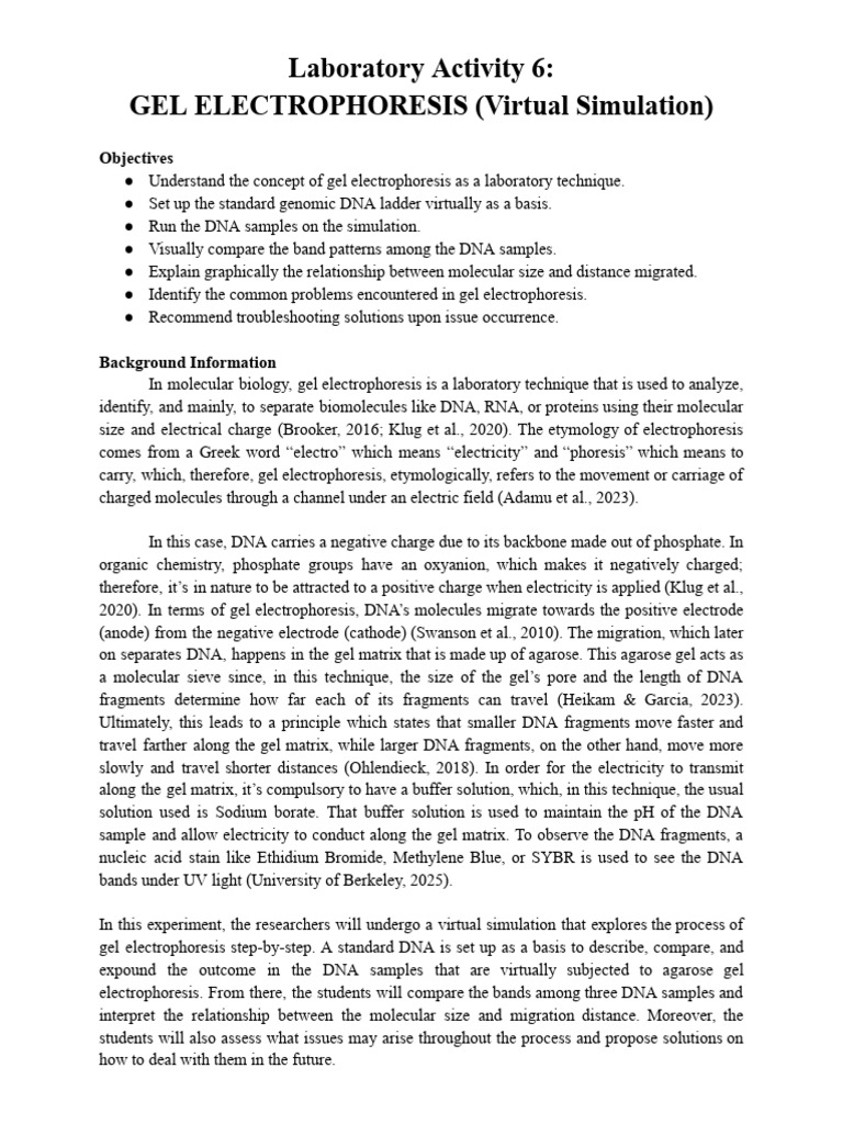Experiment 6 Genetics Gel Electrophoresis | PDF | Gel Electrophoresis ...