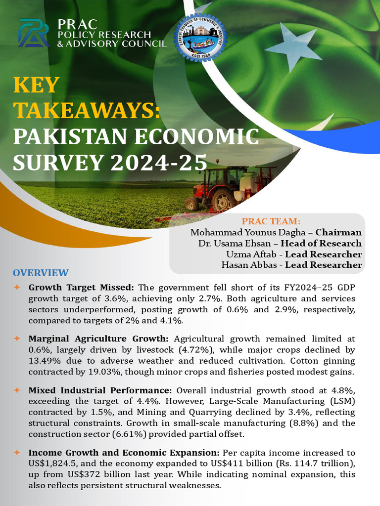 Pakistan Economic Survey 2024-25 Insights | PDF | Government Budget ...