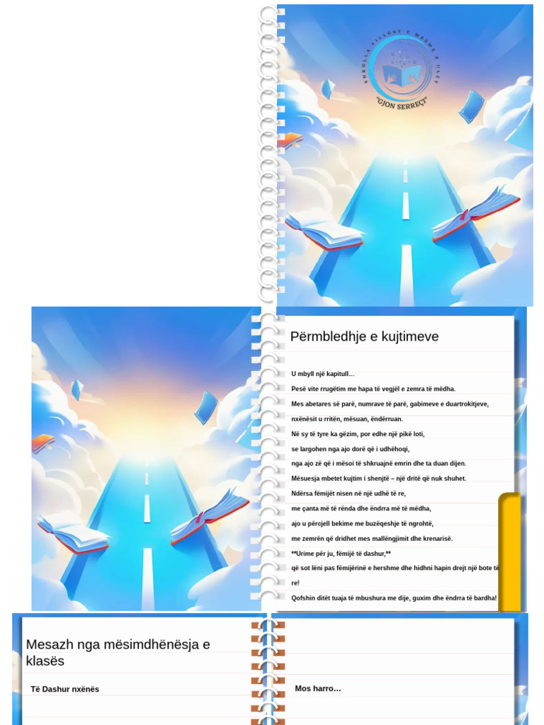 Prezentimi Final i Programit 2025 | PDF