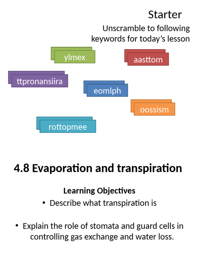 4.8 Evaporation and Transpiration | PDF | Stoma | Leaf