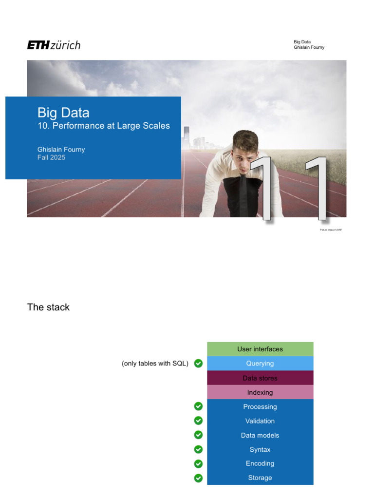 10 - Big Data - Performance at Large Scales | PDF | Computing | Computer Architecture