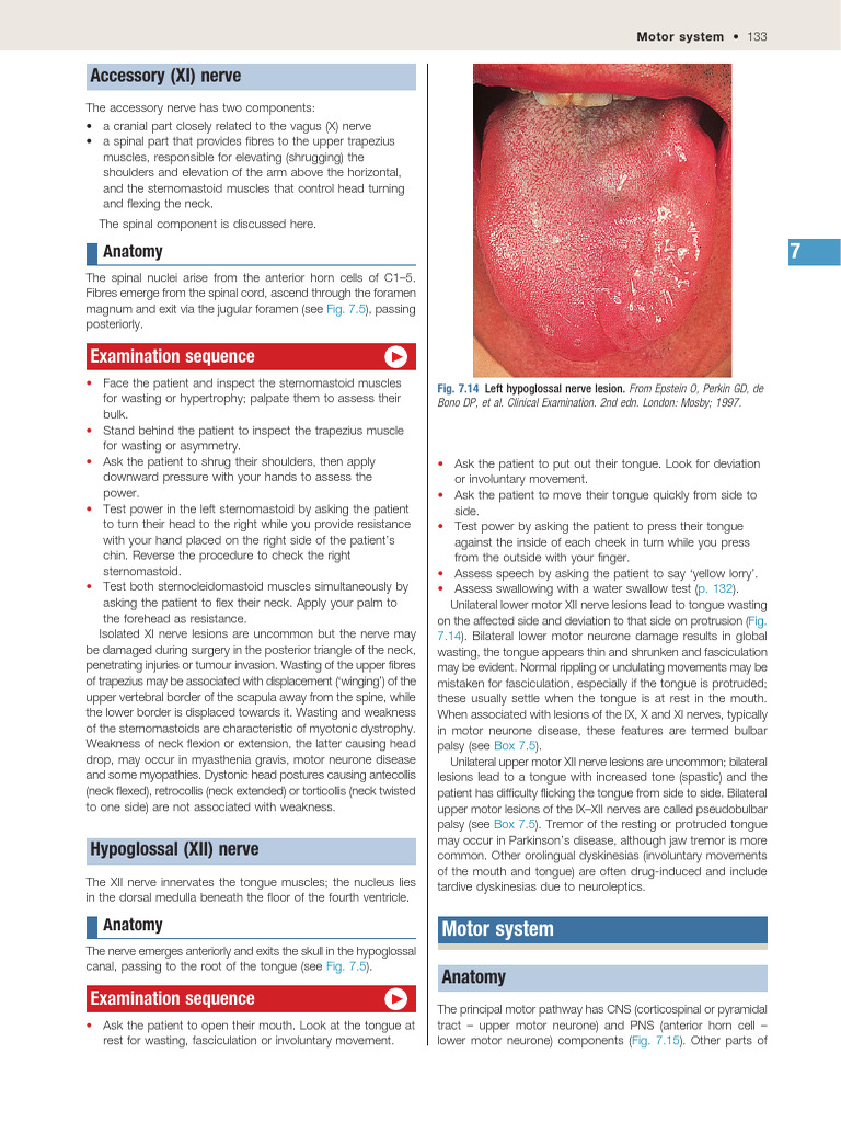 Macleods Clinical Examination 14th Edition Part-4 | PDF | Basal Ganglia ...