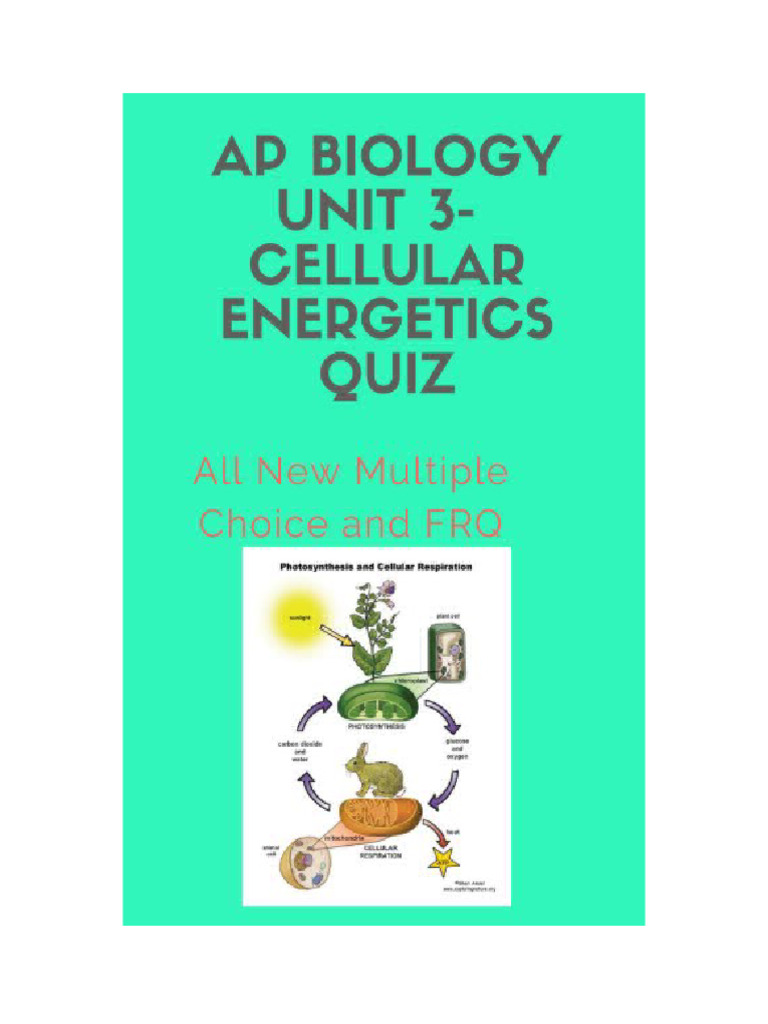 APBiologyUnit3QuizCellularEnergetics-1 | PDF | Cellular Respiration ...