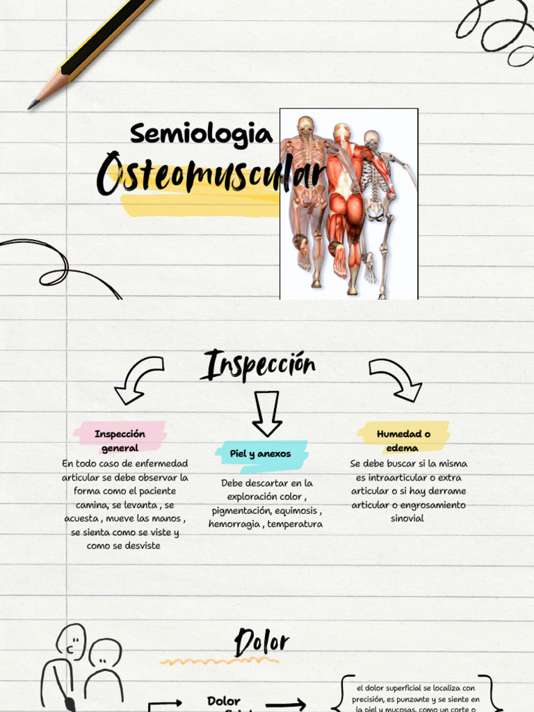 Presentación Gráficos y Mapas Conceptuales Para Proyecto Garabatos ...
