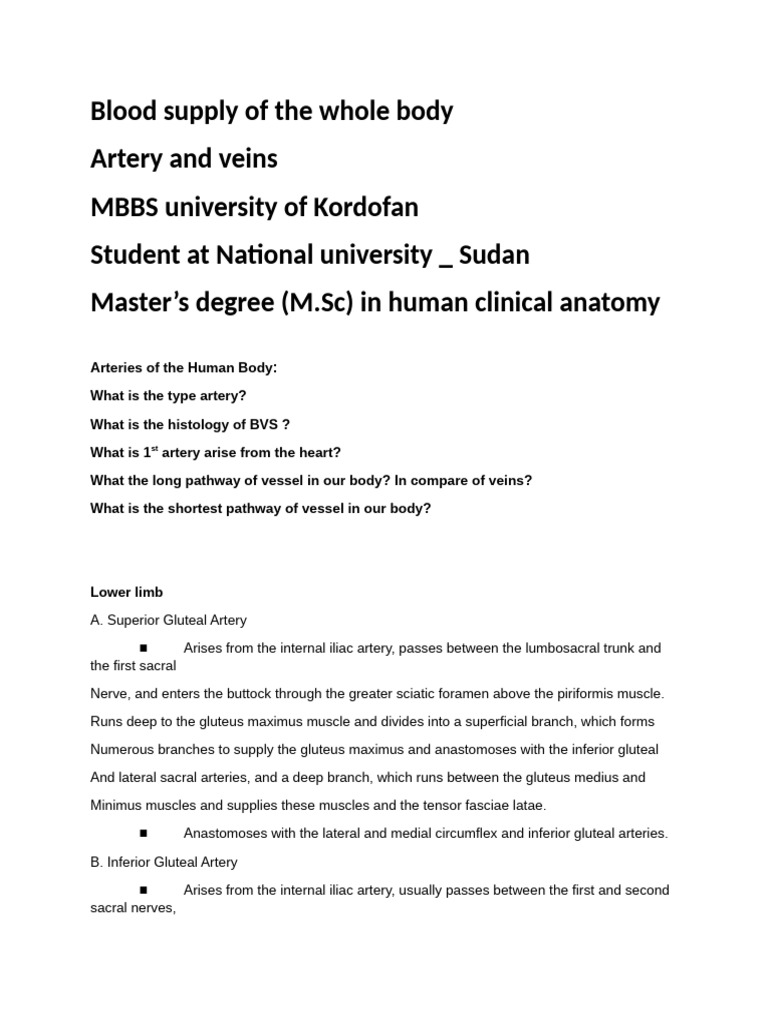Blood Supply of the Whole Body Lect MCQ | PDF | Common Carotid Artery ...