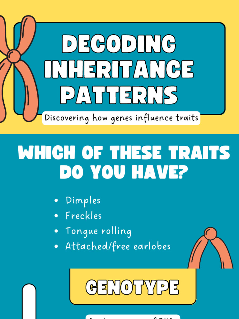 LE 3. Decoding Inheritance Patterns 9° (1) | PDF