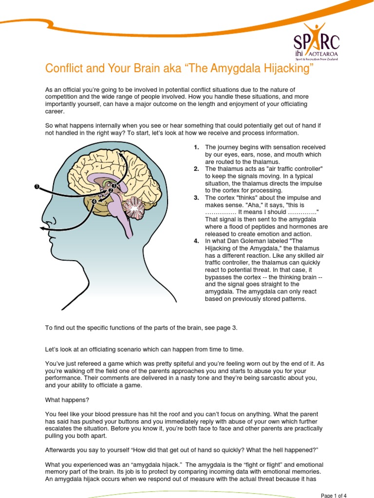 Amygdalae Hijacking | PDF | Cerebrum | Amygdala