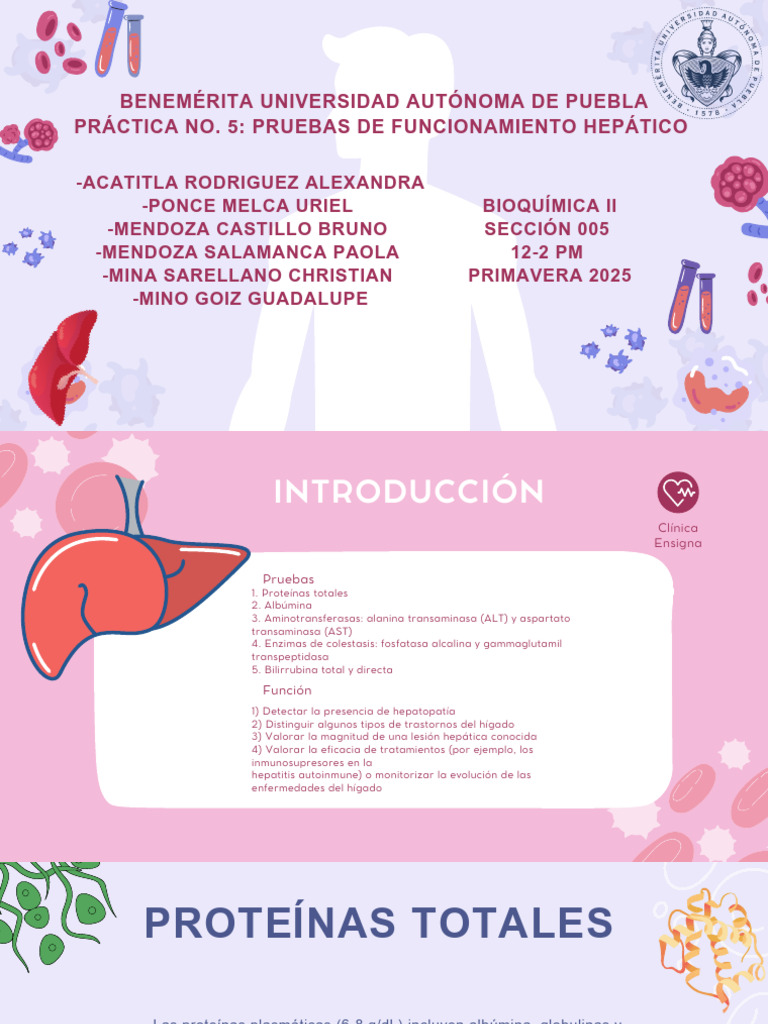 Prueba de funcion hepatica | PDF | Transaminasa | Hígado