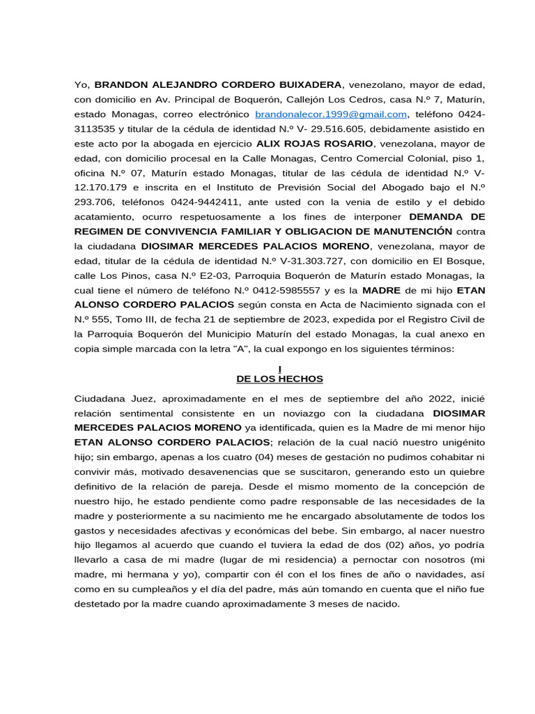 Manutencion Brandon | PDF | Pensión alimenticia